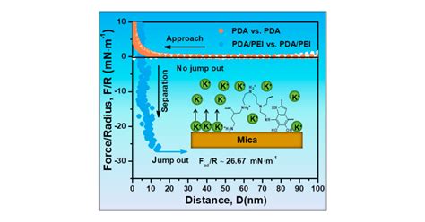 Tough And Alkaline Resistant Mussel Inspired Wet Adhesion With Surface Salt Displacement Via