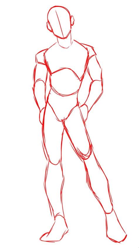 Human Body Base Drawing