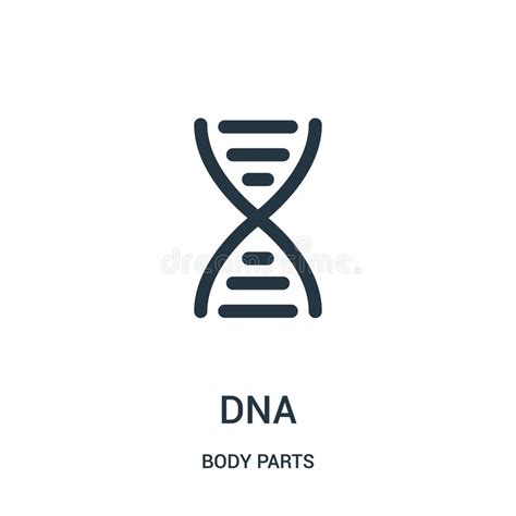 Dna Pictogramvector Van Lichaamsdeleninzameling De Dunne Van Het Het