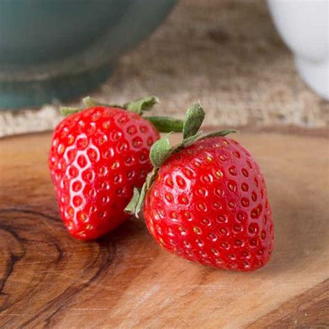Organic Strawberry Daiquiri Flavor Concentrate Natures Flavors