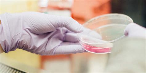 [home] Achucarro Basque Center For Neuroscience