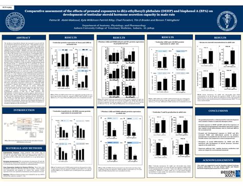 Pdf Comparative Assessment Of The Effects Of Prenatal Exposures To Di