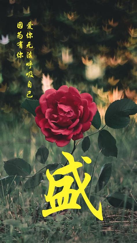 用你的姓名，做手機壁紙：因為有你，愛你無法呼吸自己 每日頭條