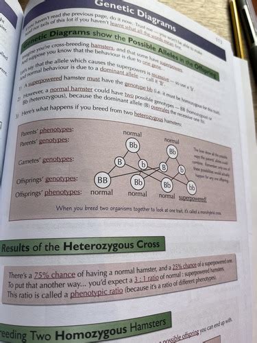 Biology Tag Reproduction And Inheritance Inheritance Flashcards Quizlet