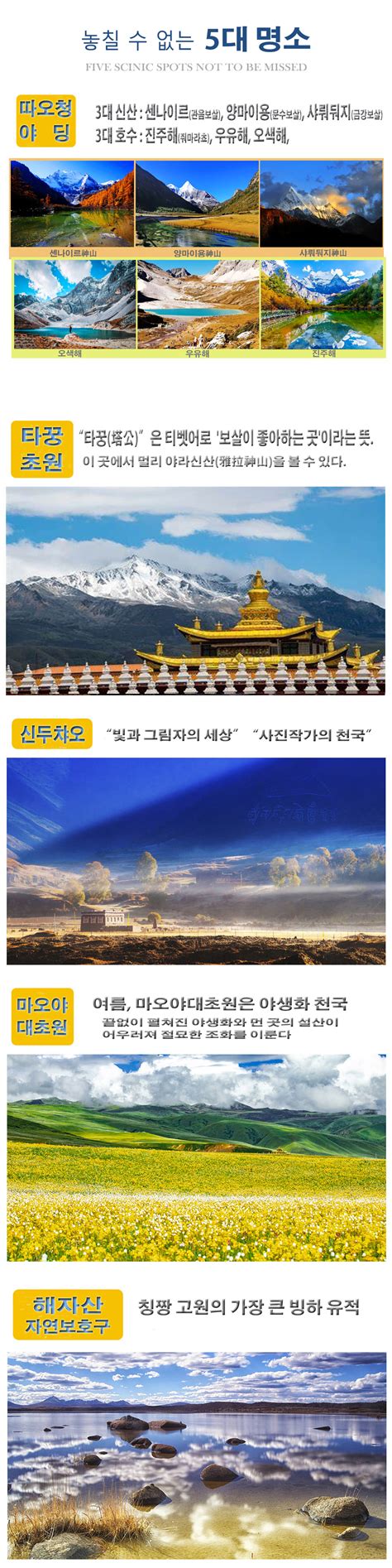 Daum 카페