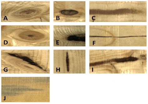 Bpn Yolo A Novel Method For Wood Defect Detection Based On Yolov7
