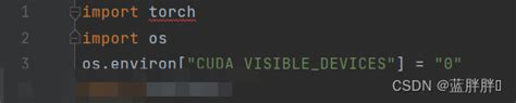 【深度学习高效小trick】使用指定的gpu组搞深度学习：cudavisibledevices Osenviron ‘cuda