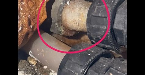 급하게 배관 누수로 연락 드렸는데 30분도 안되서오셔서 후다닥 고쳐주시고 금액도 저렴하게 해주셔서 감사합니다 만족합니다 숨고 숨고 숨은고수