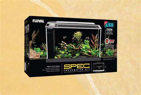 Betta Fish Tank Minimum Size At Paige Katie Blog