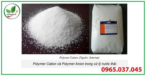 Phân Biệt Polymer Cation Và Anion Trong Xử Lý Nước
