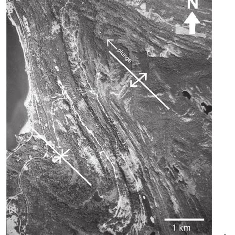 Chuckanut Formation Leaf Fossils A Sassafras B Taxodium Swamp