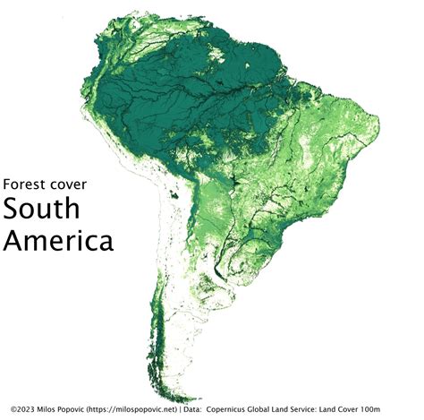 3d map of forest cover of south america south maps on the web