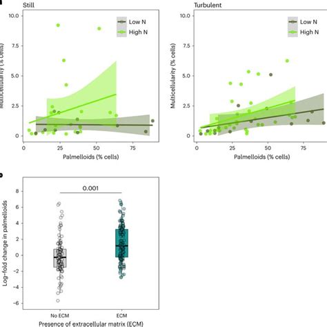 The Evolution Of Obligate Multicellularity And Ecm Is Associated With