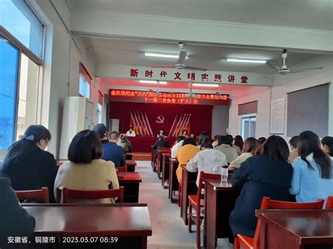 金社镇召开纪念“三八”国际劳动妇女节113周年表彰大会暨镇妇联十一届二次执委（扩大）会全镇家庭组织
