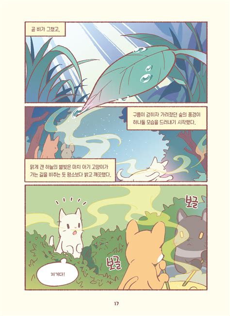 알라딘 미리보기 별이 빛나는 고양이 마을 고양이와 스프