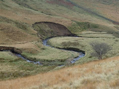 Watch Meander Stream In English With English Subtitles Ultra Hd Trueufile