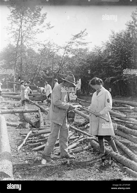 Agriculture In Britain During The First World War A Member Of The Women