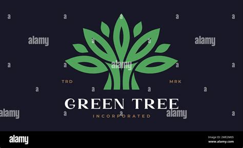 Tree Label Sign Logo Oak Olive Eco Brand Logo Green Tree Template