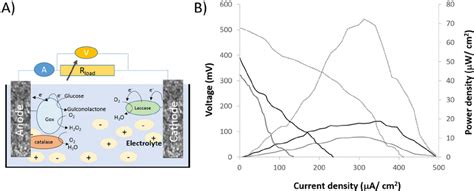 A Schematic Representation Of The Glucose Biofuel Cell Structure B I