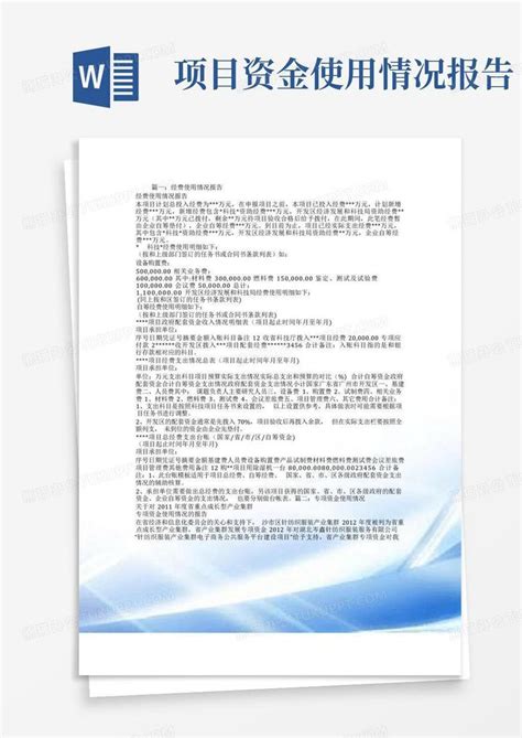 项目资金使用情况报告Word模板下载 编号ldybpzdx 熊猫办公