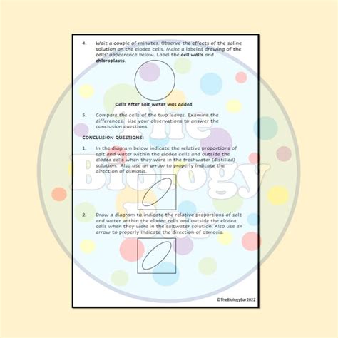 Plant Cell Osmosis Lab Turgor Pressure And Plasmolysis With Elodea Low Prep
