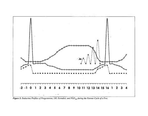 Sheep Estrus Cycle Quiz
