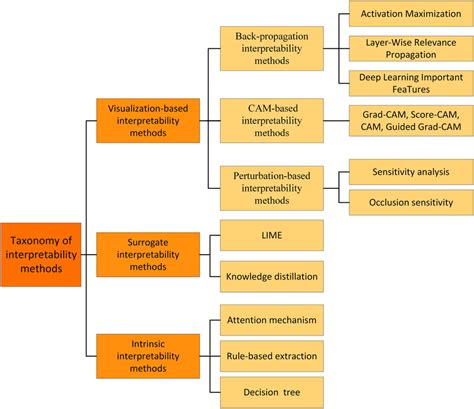 Taxonomy Of Interpretability Methods Download Scientific Diagram
