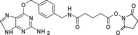 Bg琥珀酰亚胺酯 西安百萤生物科技有限公司
