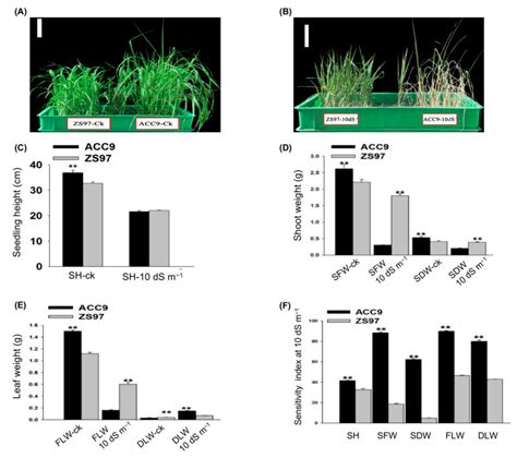 Identification Of Qtls For Salt Tolerance At The Germination And Seedling Stages In Rice Pmc