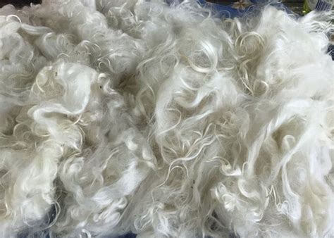 Complete Guide All Types Of Wool Explained