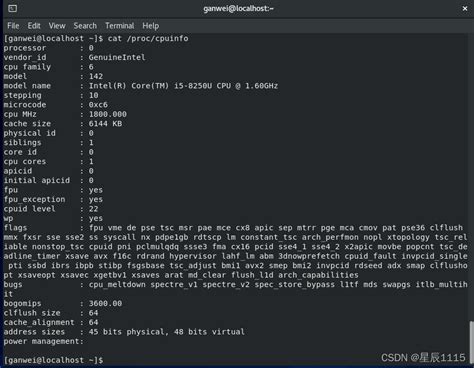 【linux系统查看cpu、系统版本、内存命令】uanme A Csdn博客