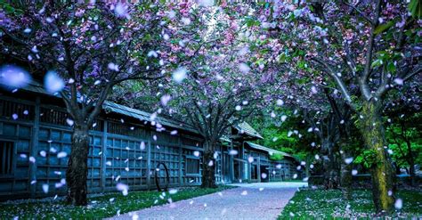 بهترین عکس برای صفحه کامپیوتر عکس نودی