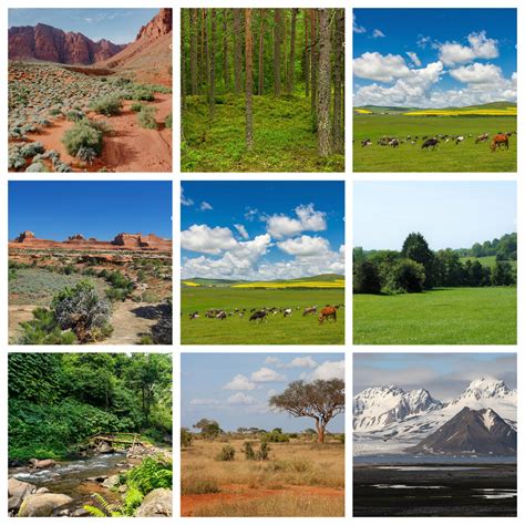 What Is A Biome Definition Types And Examples