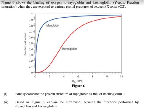 Answered Figure 6 Shows The Binding Of Oxygen To… Bartleby