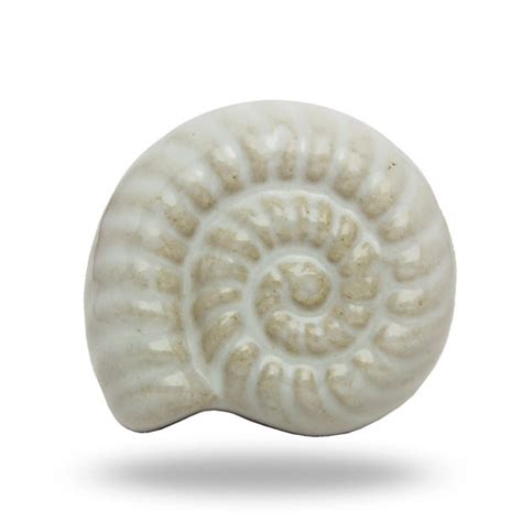 Shell Door Knobs Door Knobs