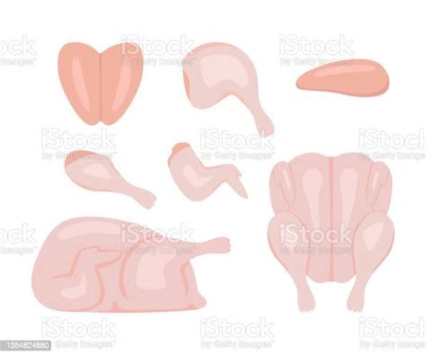 생 닭 고기 세트 육계 병아리 전체를 잘라 닭 다리 날개 다리 가슴 드럼 스틱 필렛 음식을 요리 벡터 만화 일러스트레이션 닭