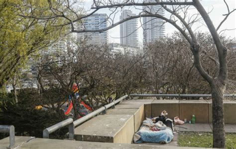La Distribución Del Ingreso Se Mantuvo Estable Argentina Municipal