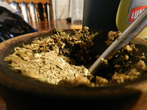Qué es la yerba mate y cómo se toma Innatia