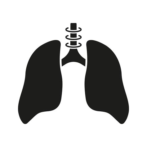 Bronches Et Trachée Souffle Système Pictogramme En Bonne Santé Des Bronches Respiratoire