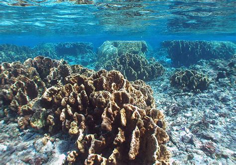 National Marine Sanctuary Of American Samoa