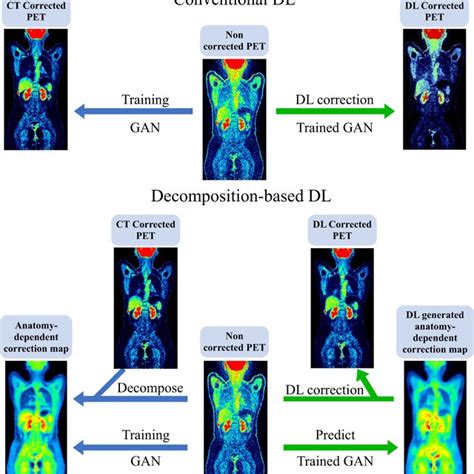 General Protocol Of Our Proposed Domain Knowledge Integrated Deep Download Scientific Diagram