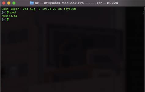 Linux Mac Terminal Commands That You Should Know Porcuna IO