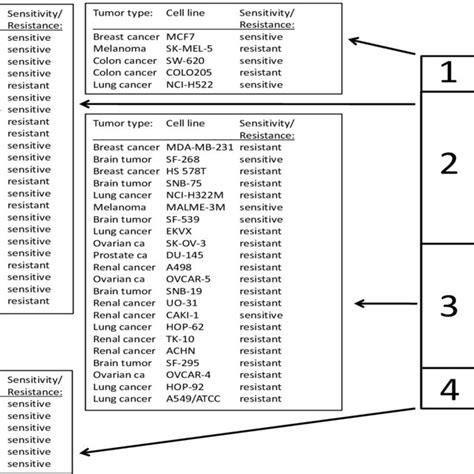 Dendrogram Of Hierarchical Cluster Analysis Complete Linkage Method