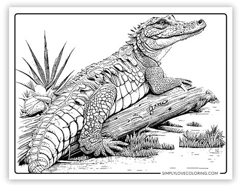 31 Alligator Coloring Pages Free Pdf Printables Simply Love Coloring
