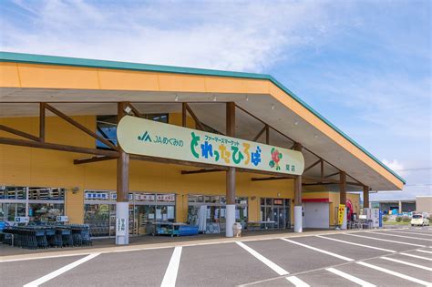 初夏の夏野菜フェア ｜イベント｜清流の国ぎふ 地産地消めぐり