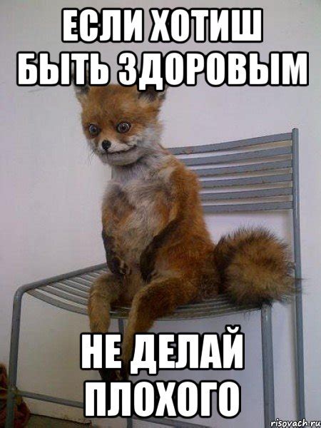 Если хотиш быть здоровым не делай плохого Мем Упоротая лиса Рисовач Ру