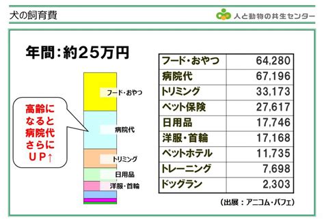 Jp