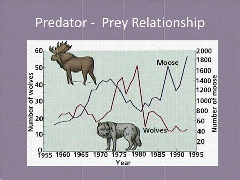 Ppt Ecology Powerpoint Presentation Free Download Id2424505