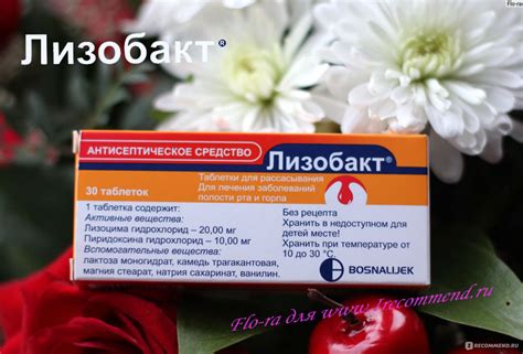 Лизобакт Или Лоранебол Что Лучше – Telegraph