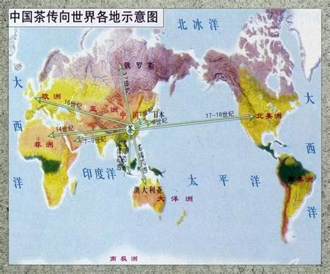 茶葉輕科普｜中國茶葉在西方的傳播 每日頭條